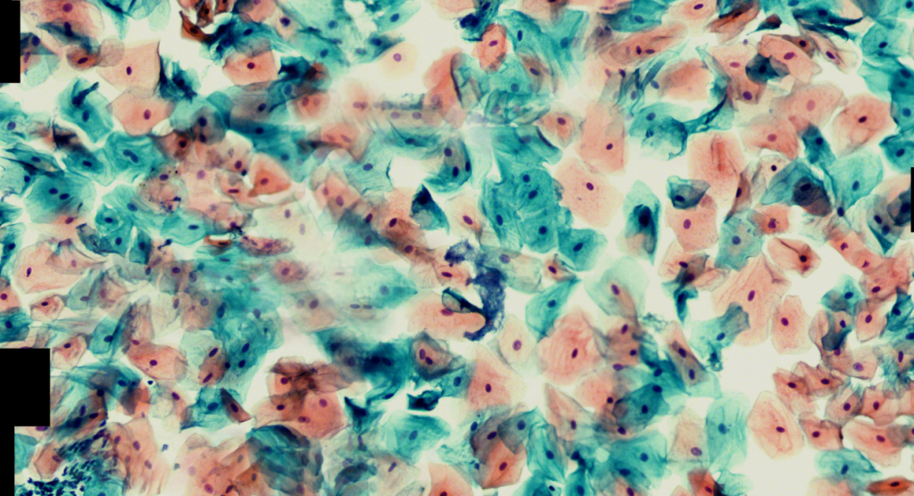 What can auto slide scanner microscope do