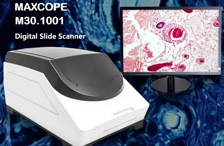 What can auto slide scanner microscope do